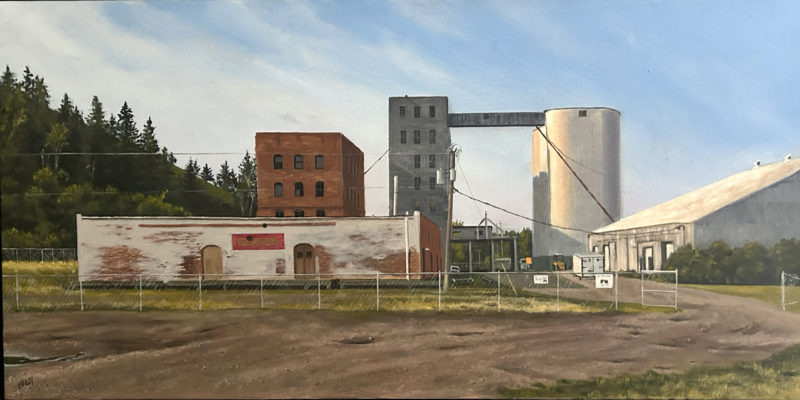 Shara Bailey – Finding the magical in the mundane